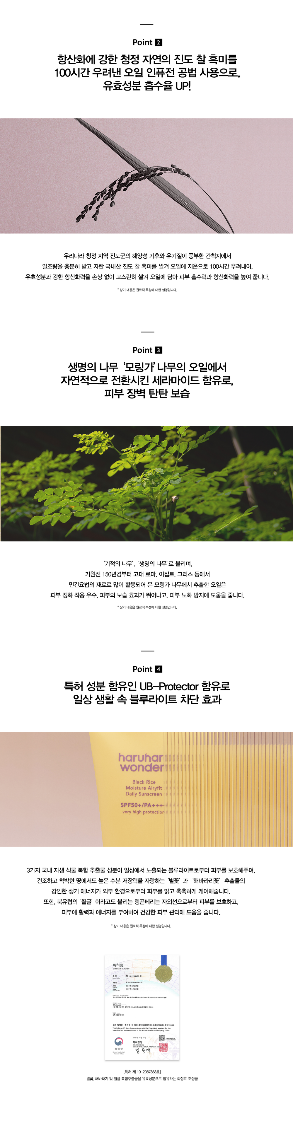 블랙라이스 모이스처 에어리핏 데일리 선스크린(유기자차) 50g - 감도 깊은 취향 셀렉트샵 29CM