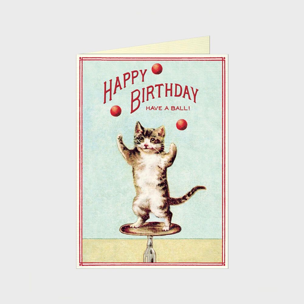 HBD juggling cat card&envelope - 감도 깊은 취향 셀렉트샵 29CM