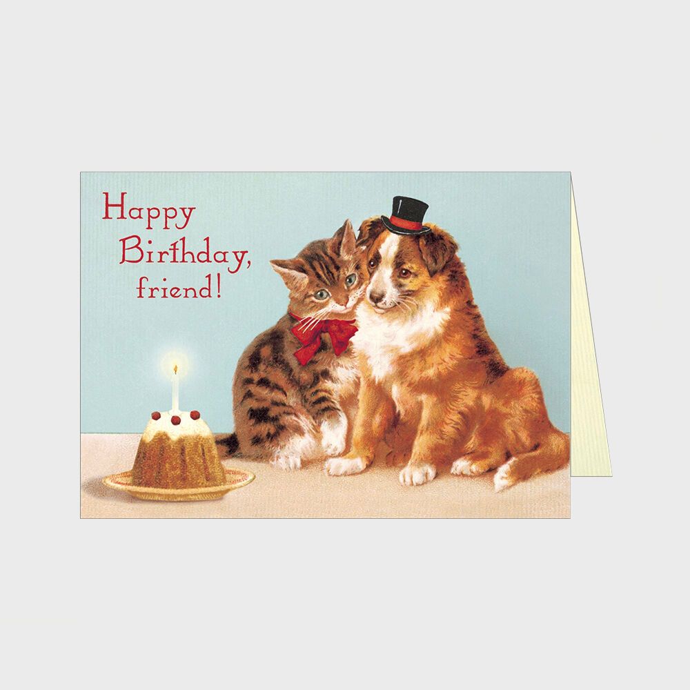 HBD friends card&envelope - 감도 깊은 취향 셀렉트샵 29CM