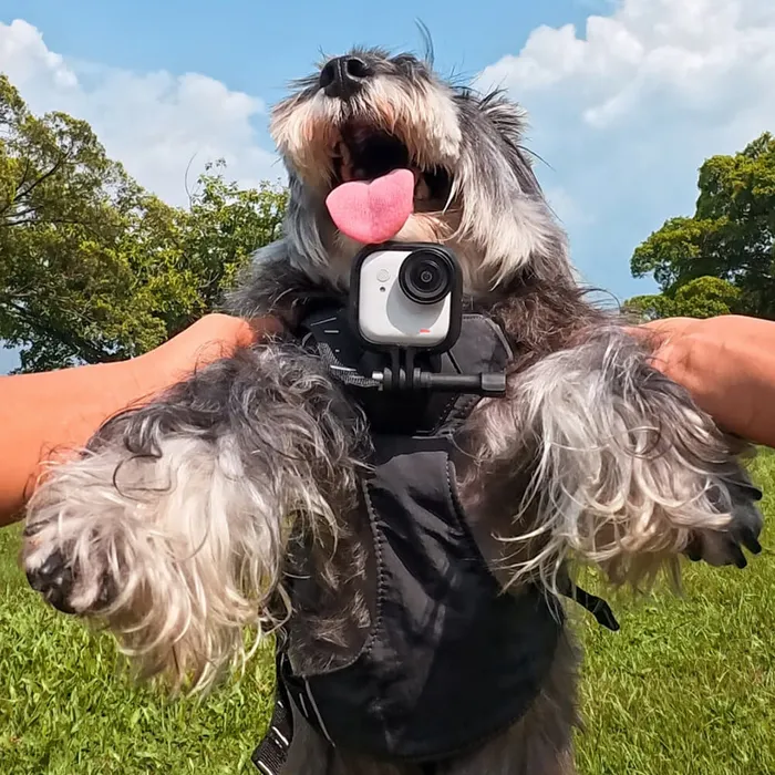 인스타360 GO Ultra 크리에이터번들 아틱화이트 - 감도 깊은 취향 셀렉트샵 29CM